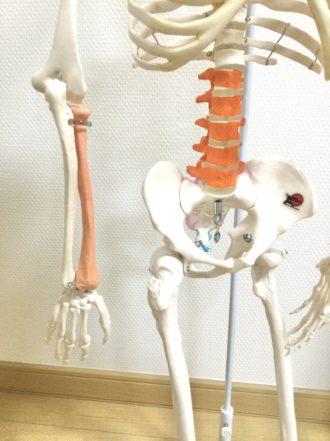 新しい記事は、ブログへ！| Ninja Anatomy